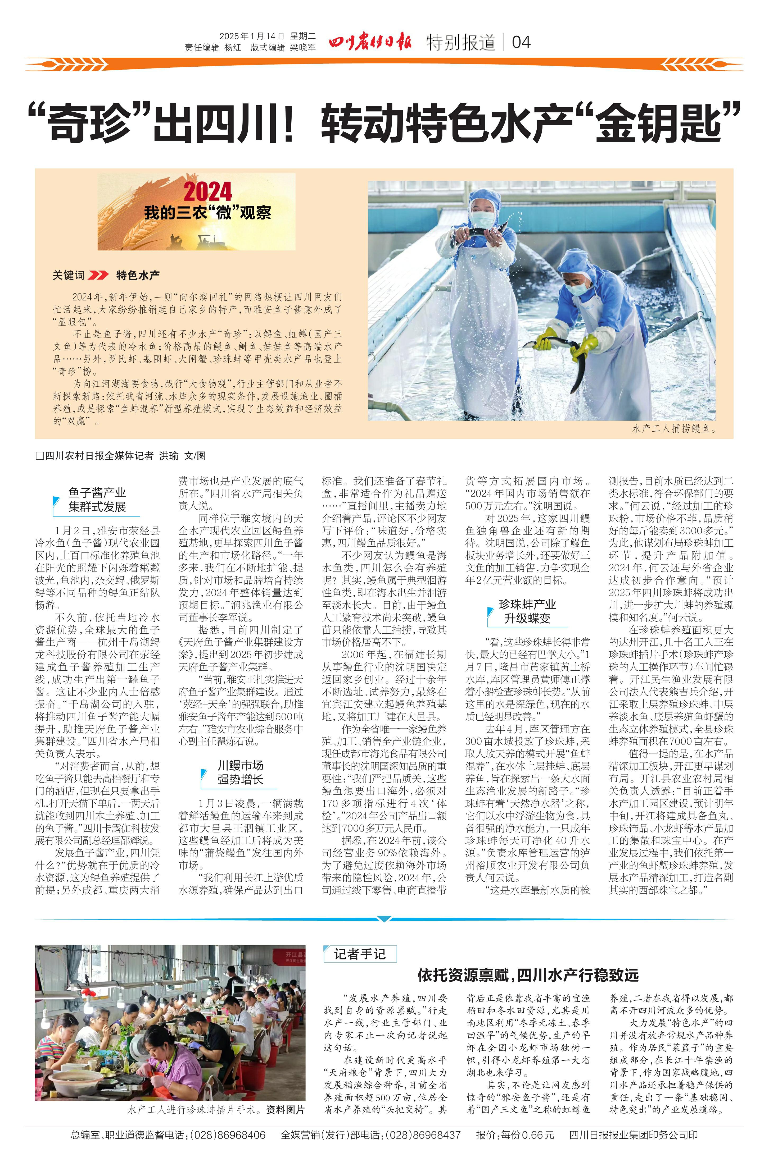 “奇珍”出四川！转动特色水产“金钥匙” 第04版:特别报道 20250114期 四川农村日报