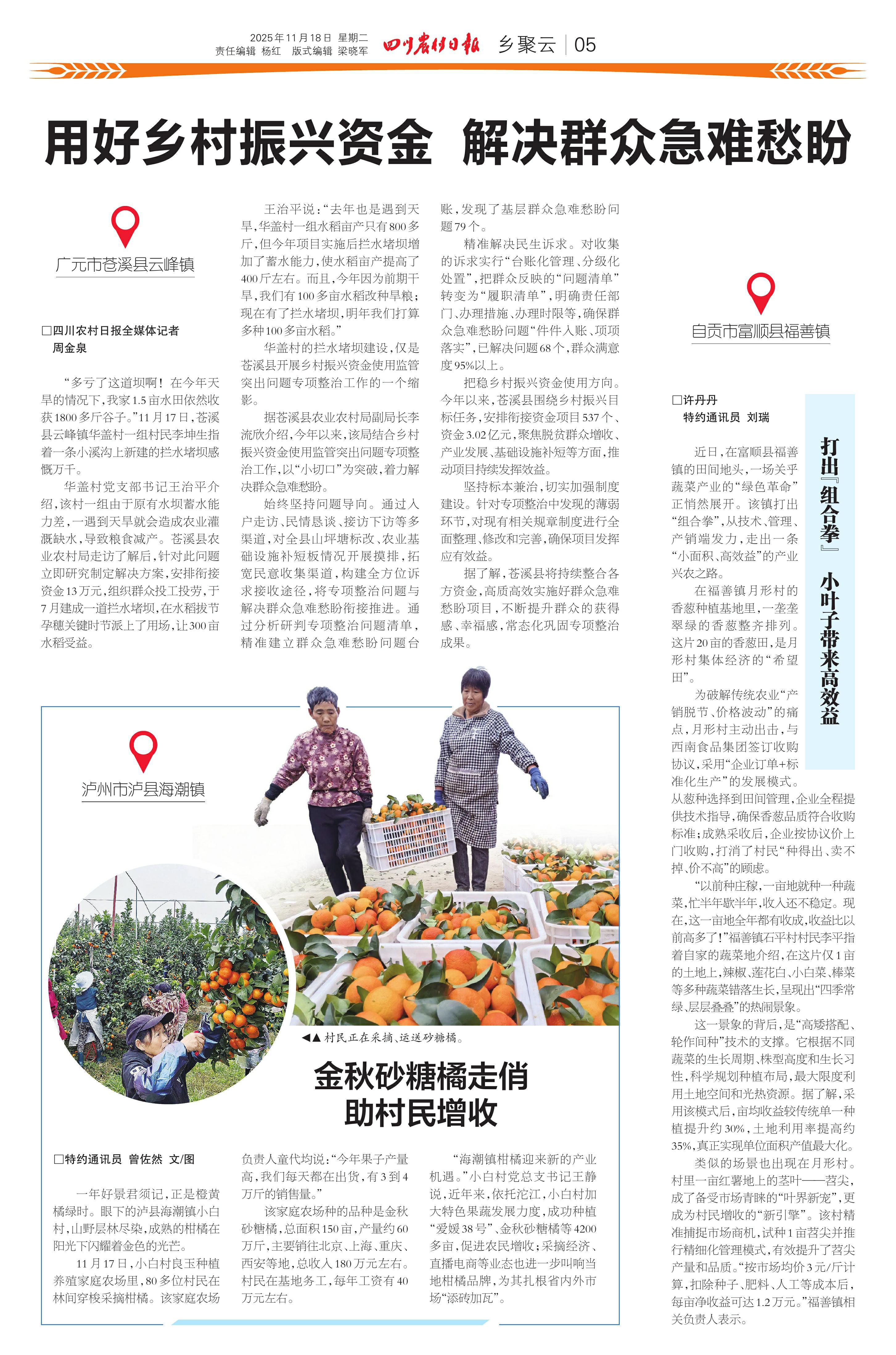 第 05 版:乡聚云 20251118 期 四川农村日报