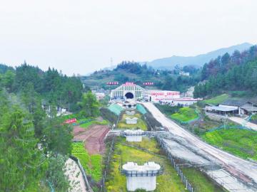 图片新闻 第01版:要闻 20241224期 四川农村日报