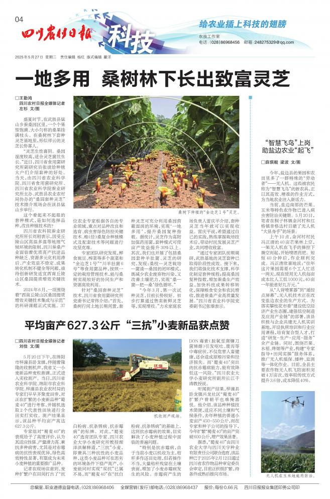 第 04 版:科技 20250527期 四川农村日报