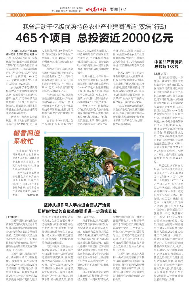 椒香四溢 采收忙 第02版:要闻 20250701期 四川农村日报