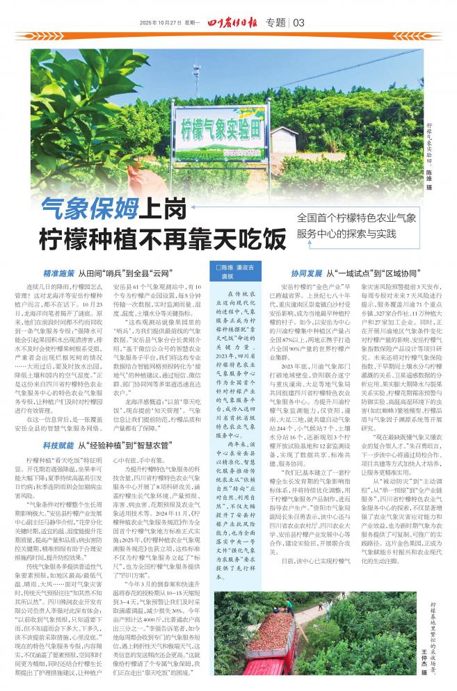 气象保姆上岗 柠檬种植不再靠天吃饭 第03版:专题 20251027期 四川农村日报